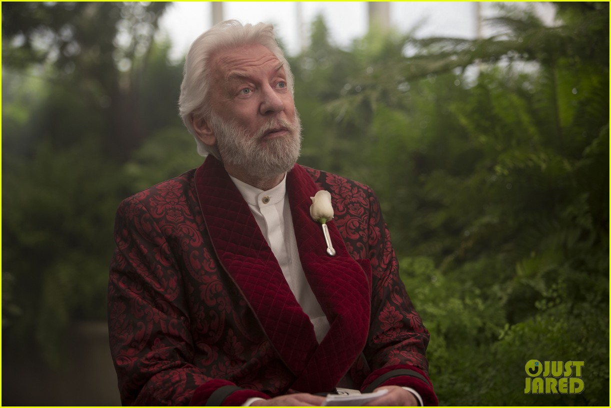 Watch Two New 'The Hunger Games: Mockingjay Part 2' TV Spots, Plus New ...