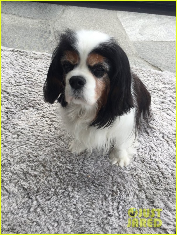 Courteney Cox Has Love for This Boy & Girl!: Photo 3565949 | Courteney ...