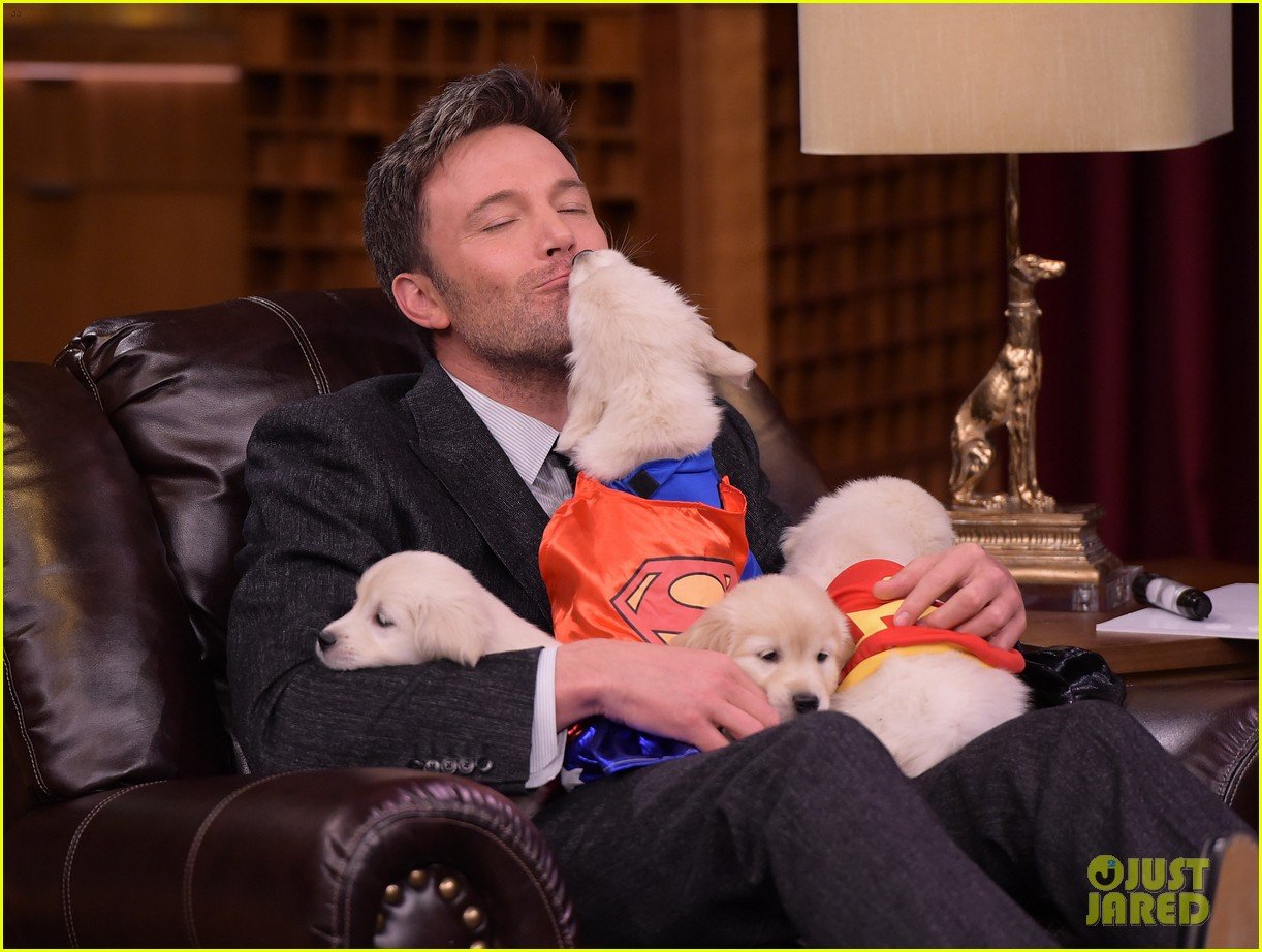 Ben Affleck Cuddles with Superhero Puppies on 'Fallon': Photo 3613862 ...