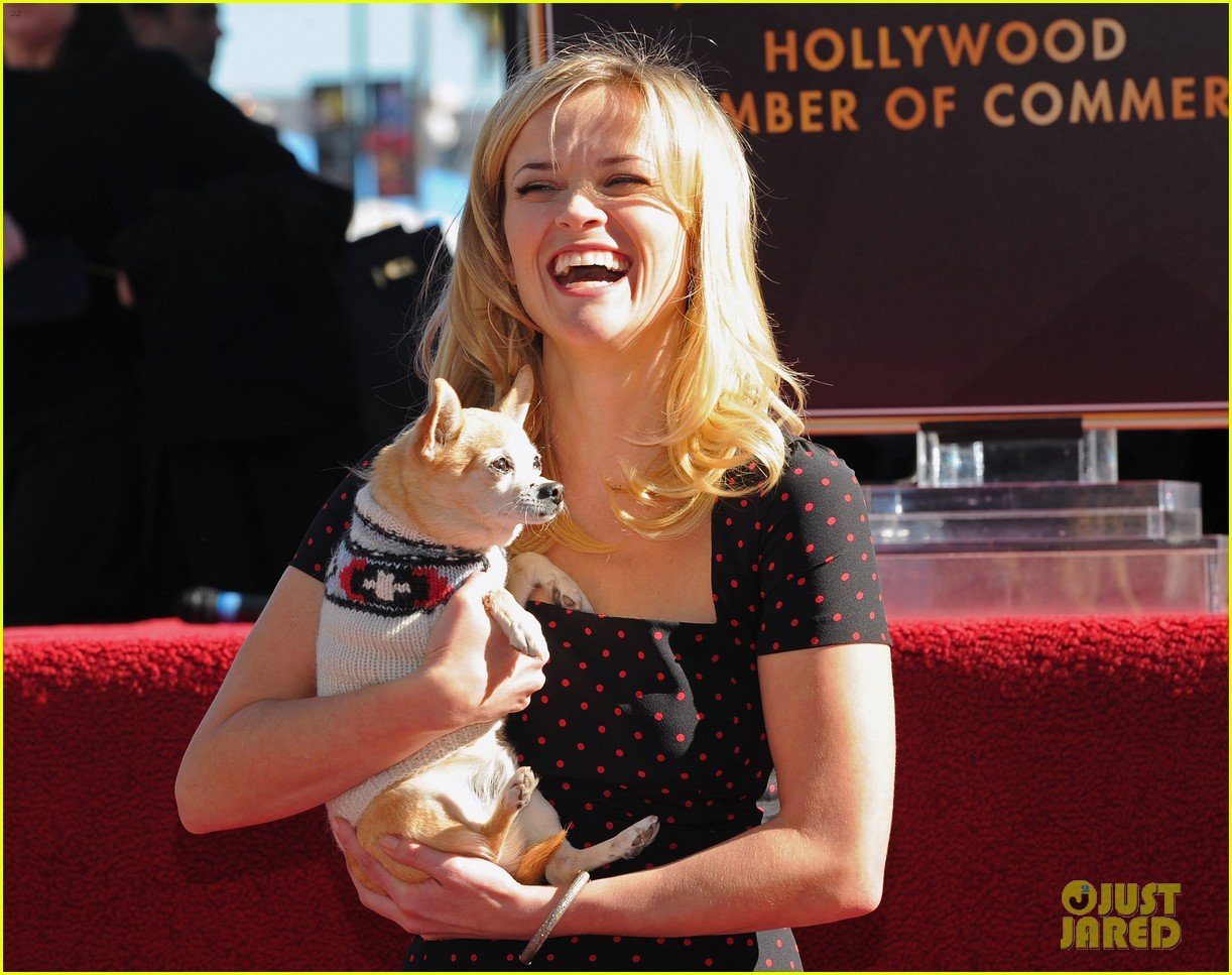 Reese Witherspoon Mourns Death of Dog Bruiser Woods: Photo 3603196 ...