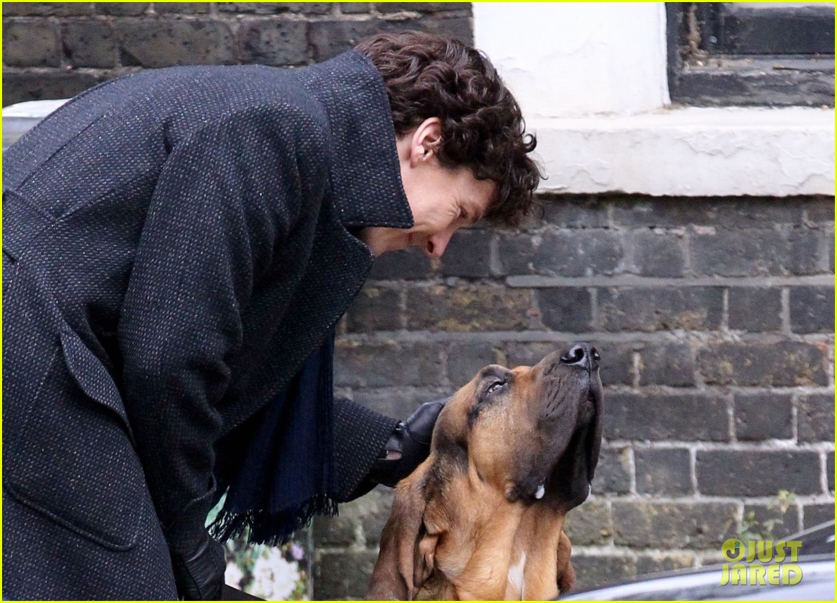 Benedict Cumberbatch Makes a Friend on 'Sherlock' Set: Photo 3649169 ...