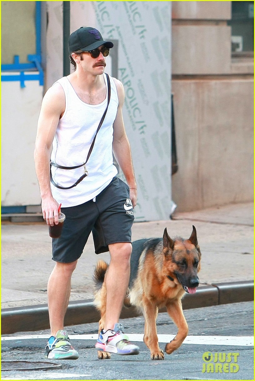Photo: jake gyllenhaal huge arm muscles 05 | Photo 3710501 | Just Jared
