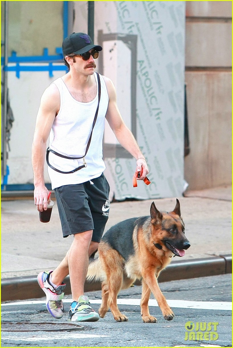 Jake Gyllenhaal Shows His Bulging Biceps in a Tight Tank: Photo 3710504 ...