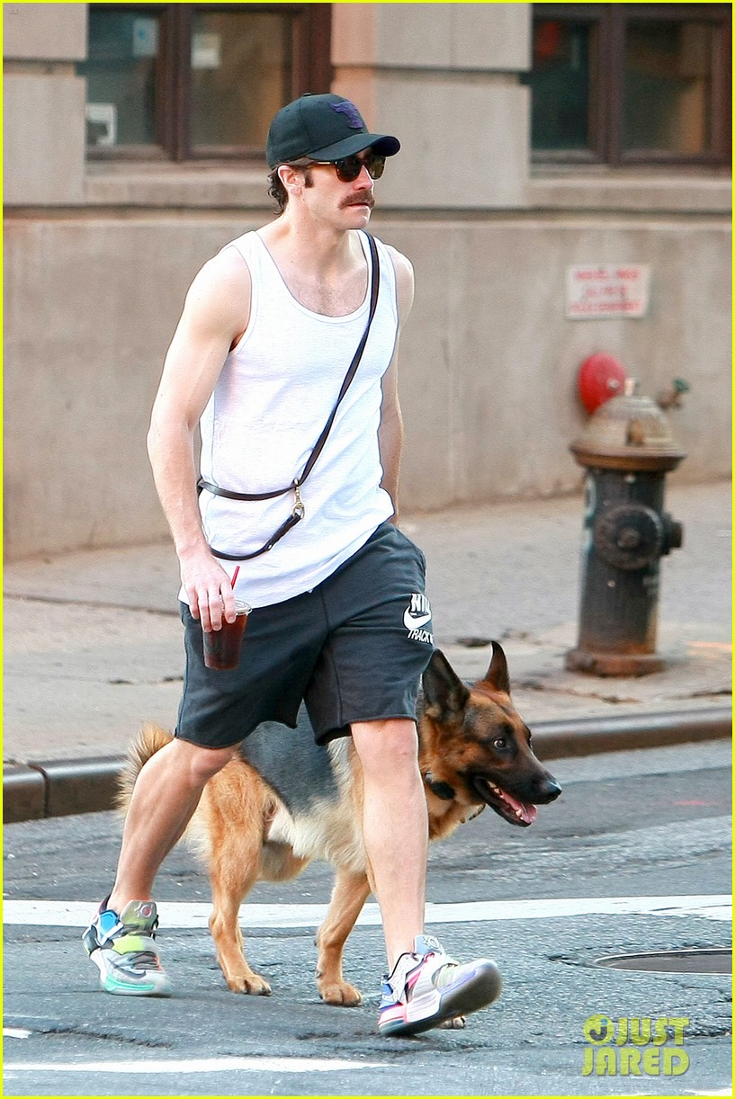 Jake Gyllenhaal Shows His Bulging Biceps in a Tight Tank: Photo 3710509 ...