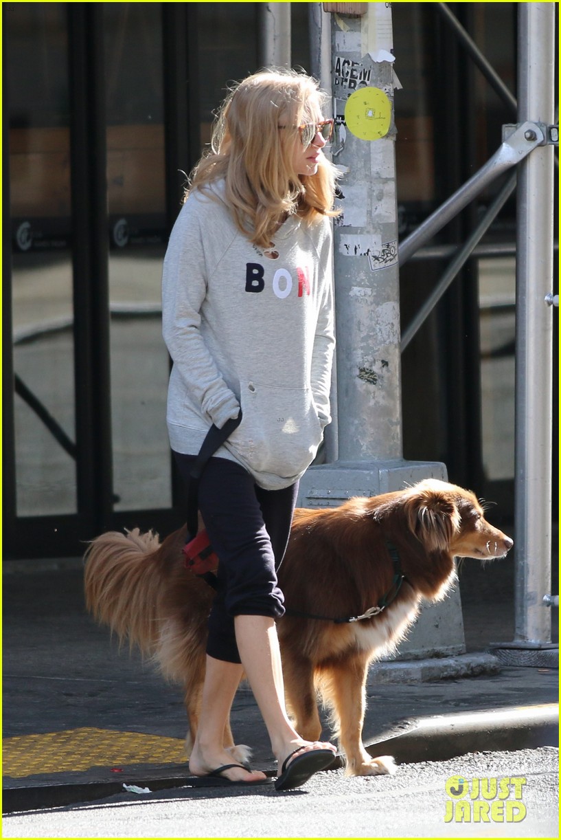 Amanda Seyfried Enjoys a Stroll Through the Park With Her Dog: Photo ...