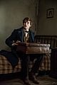 ‘Fantastic Beasts’ Cast List – Meet the ‘Harry Potter’ Spinoff Stars ...