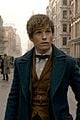 ‘Fantastic Beasts’ Cast List – Meet the ‘Harry Potter’ Spinoff Stars ...