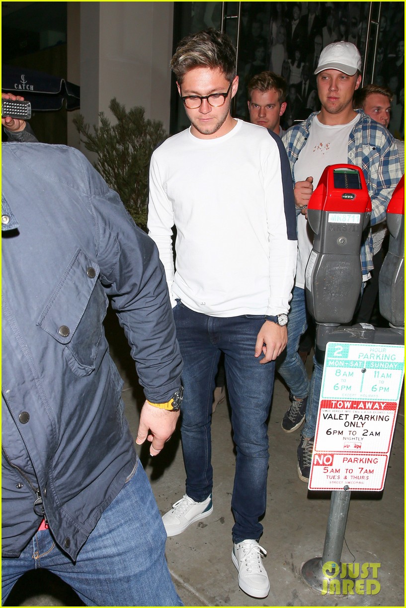 VIDEO: Niall Horan Drops Lyric Video For 'This Town' : Photo 3814369 ...