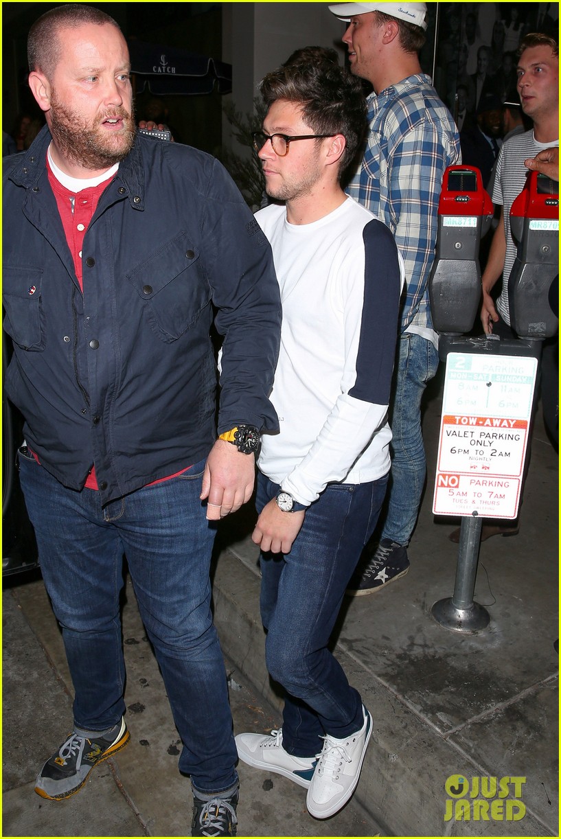 VIDEO: Niall Horan Drops Lyric Video For 'This Town' : Photo 3814385 ...