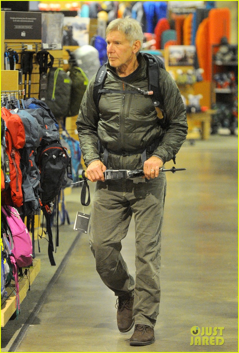 Harrison Ford Gets Back in the Air After Scary Plane Landing: Photo ...