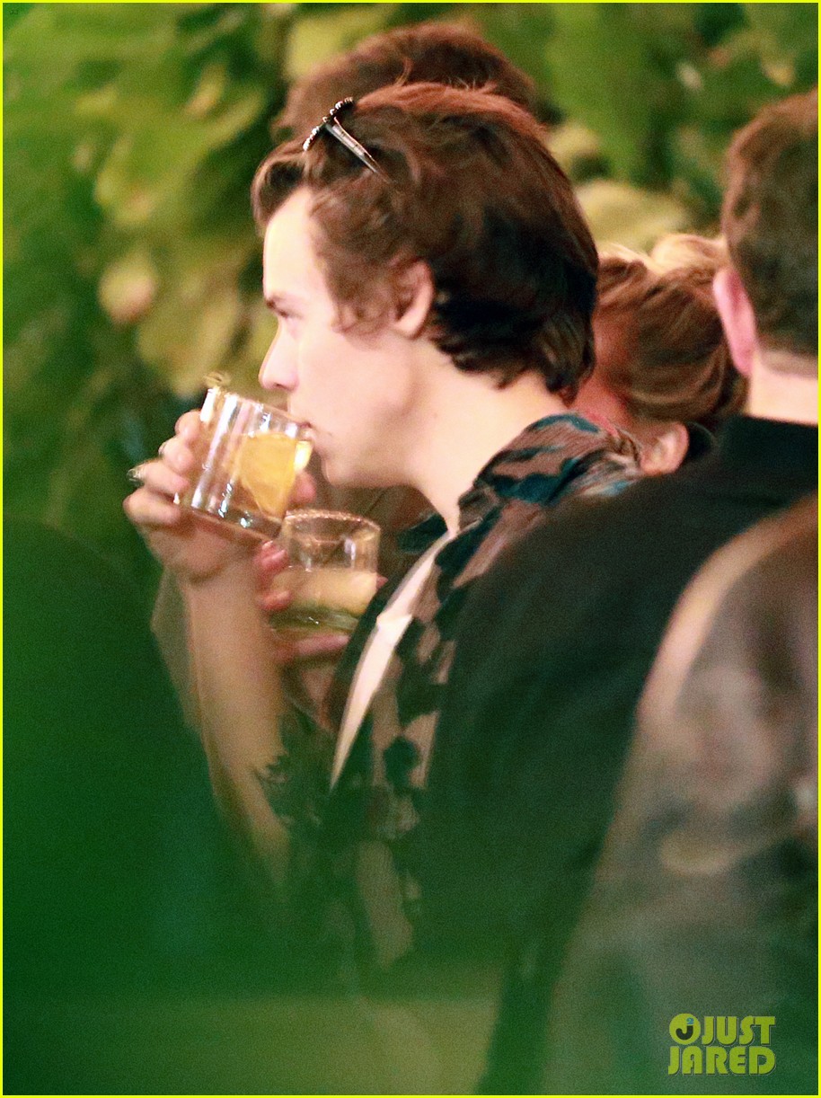Harry Styles Celebrates 23rd Birthday With Friends in Malibu: Photo ...