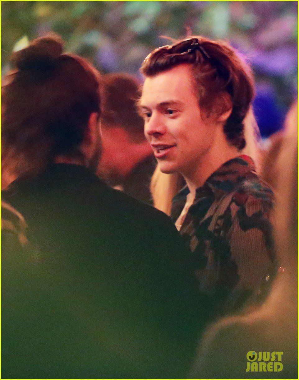 Harry Styles Celebrates 23rd Birthday With Friends in Malibu: Photo ...