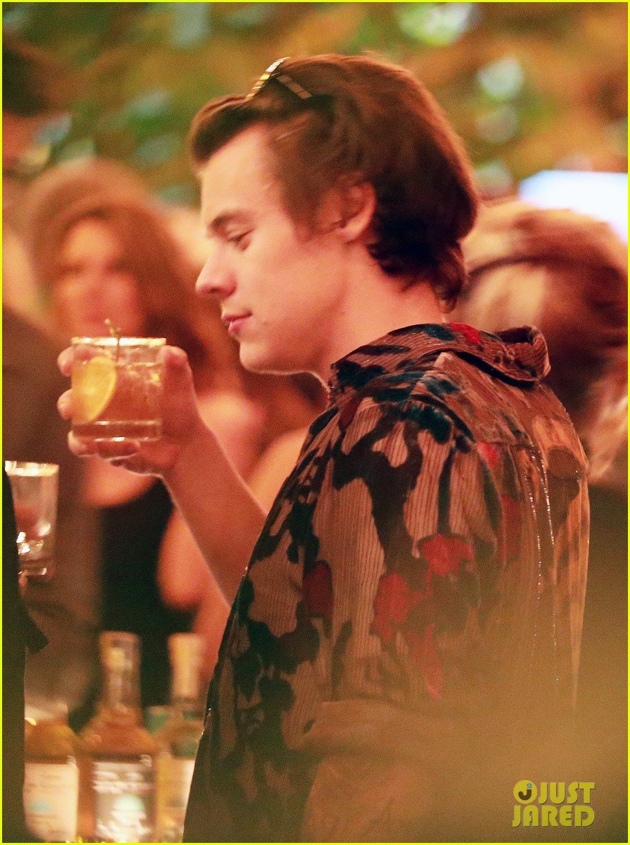 Harry Styles Celebrates 23rd Birthday With Friends in Malibu: Photo ...