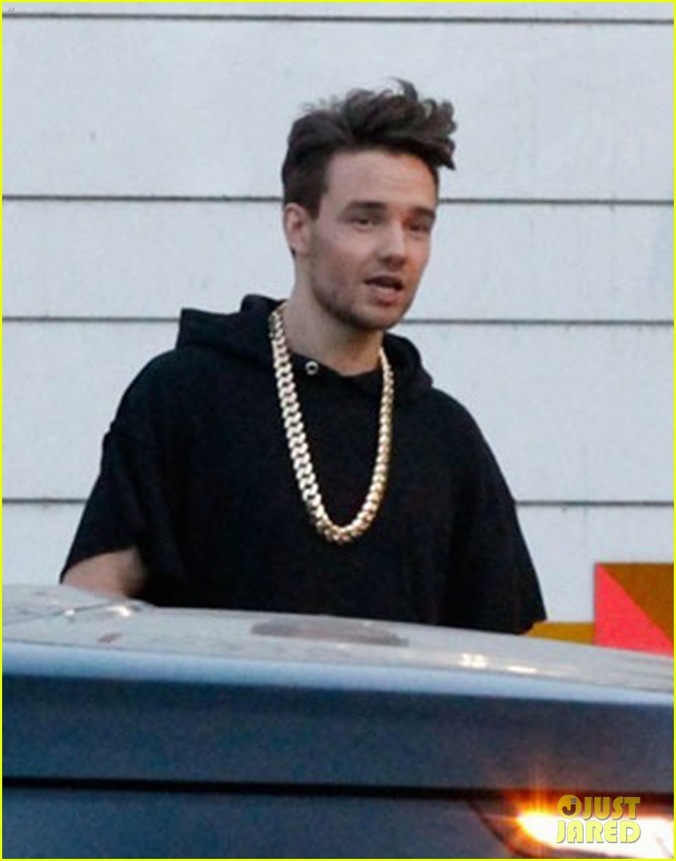 Liam Payne Wears Giant Gold Chain at the Recording Studio: Photo ...