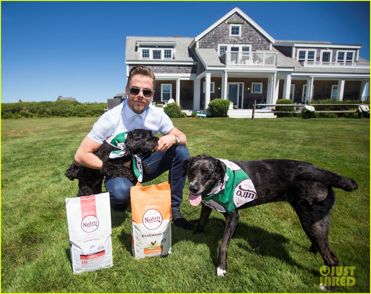 Derek Hough & Dogs Are All You Need for Your Friday Fix!: Photo 3918897 ...