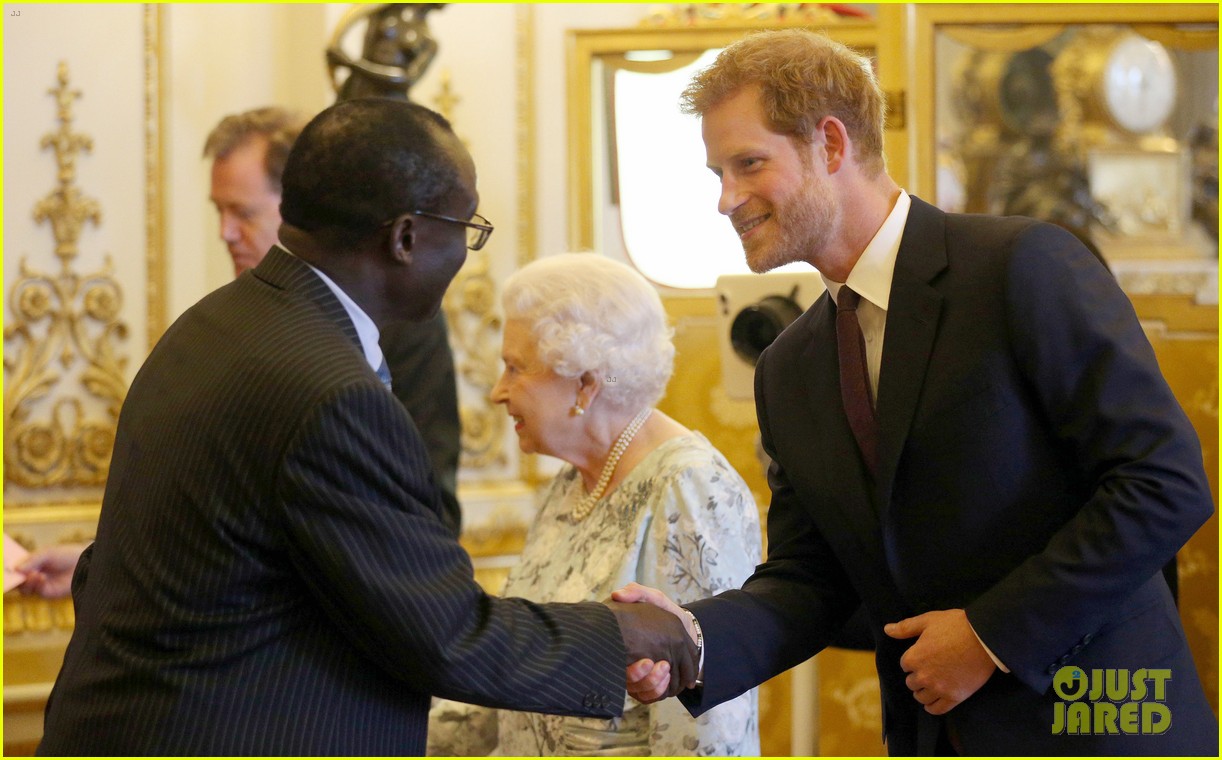 Liam Payne Meets Queen Elizabeth II & Prince Harry at 2017 Queen's ...
