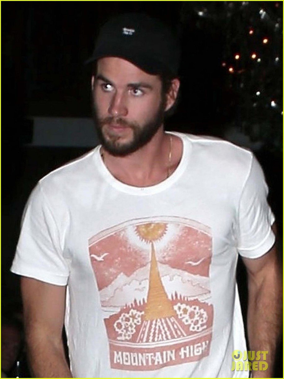 Liam, Chris, & Luke Hemsworth Grab Dinner in Santa Monica: Photo ...