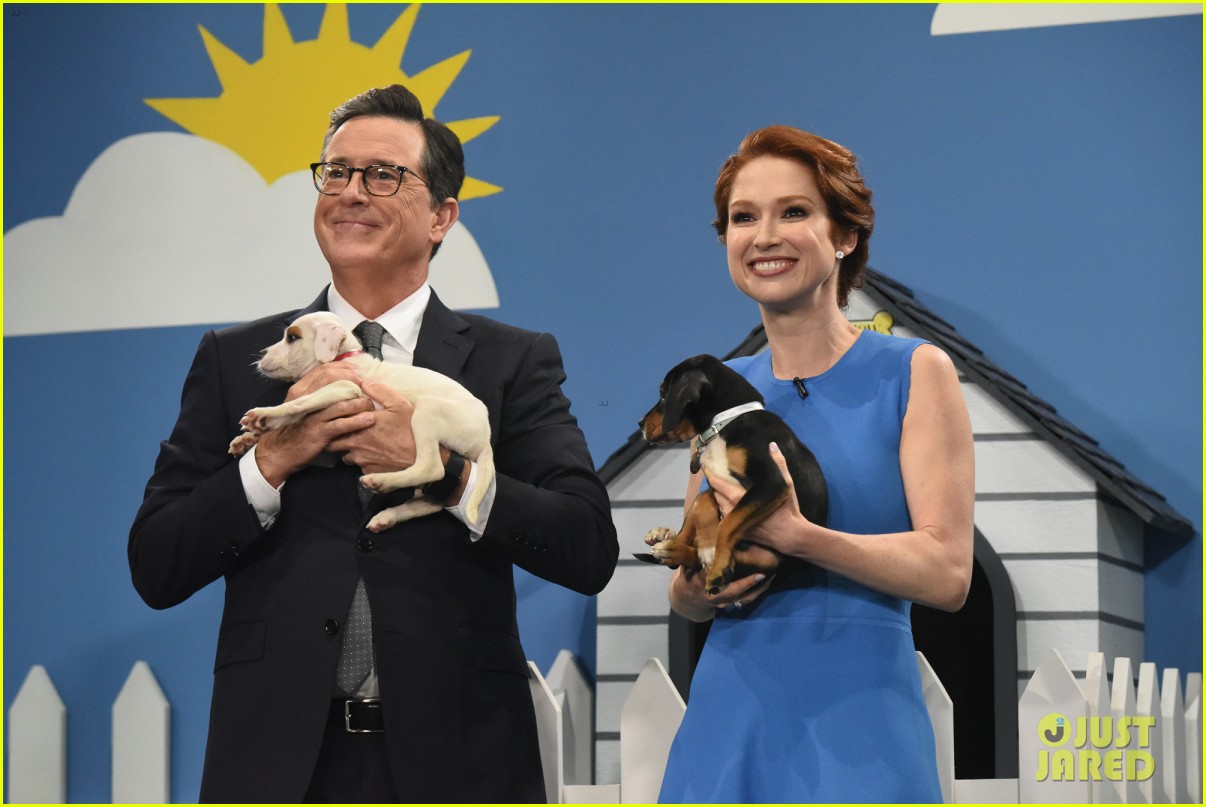 Ellie Kemper & Stephen Colbert Help Find Adorable Rescue Dogs a Home on ...