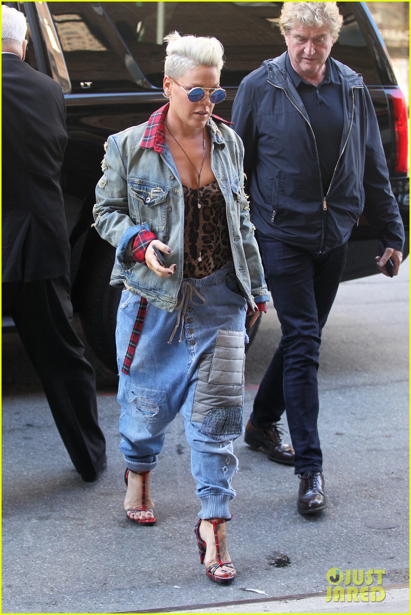 Pink Tells Trump He's Doing a Terrible Job, But There's Still Hope for ...