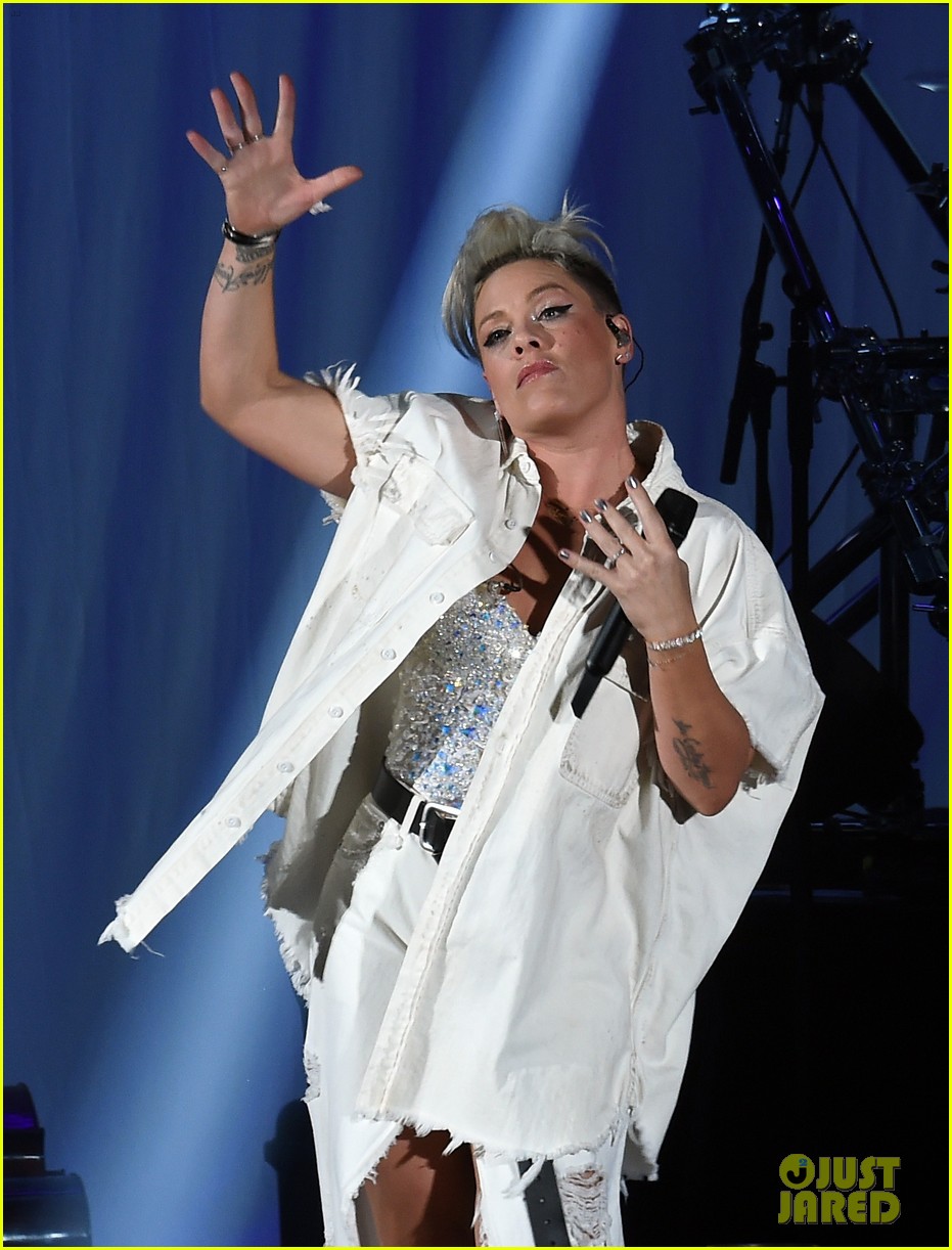 Pink Sings Five Hits at 'We Can Survive' Benefit Concert: Photo 3976128 ...