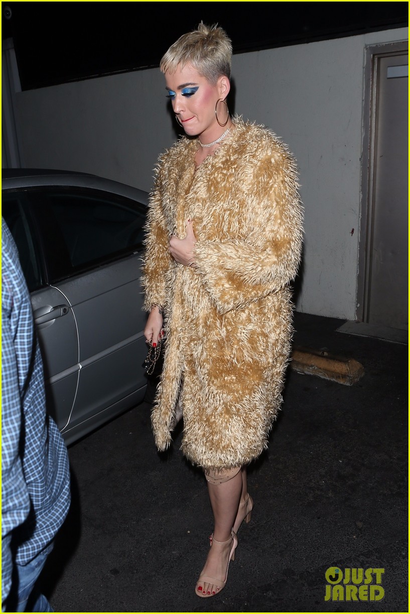 Katy Perry Gets Late Night Bite to Eat After 'Witness' Tour Performance ...