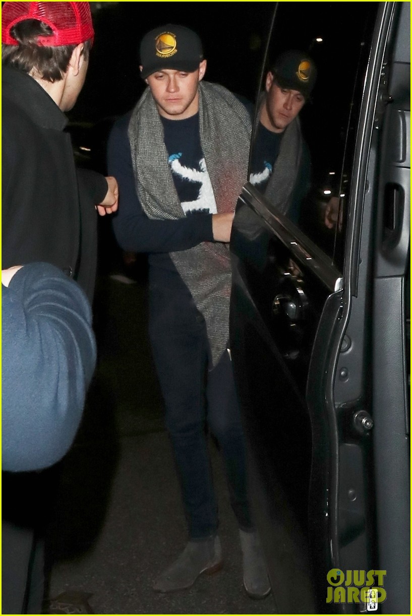 Niall Horan Calls Hailee Steinfeld 'the Loveliest Person on the Planet ...