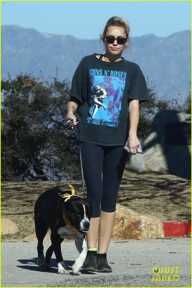 Miley Cyrus Takes Her Dog for a Hike in Studio City: Photo 4020395 ...