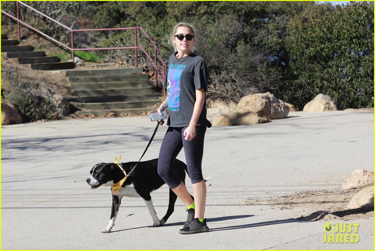 Miley Cyrus Takes Her Dog for a Hike in Studio City: Photo 4020399 ...