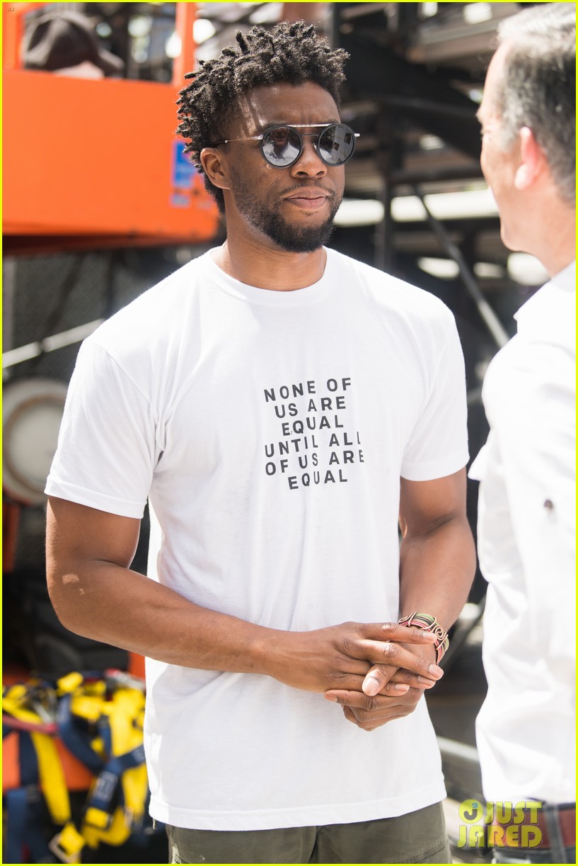 Chadwick Boseman, Laura Dern, & Joshua Jackson March in Families Belong ...