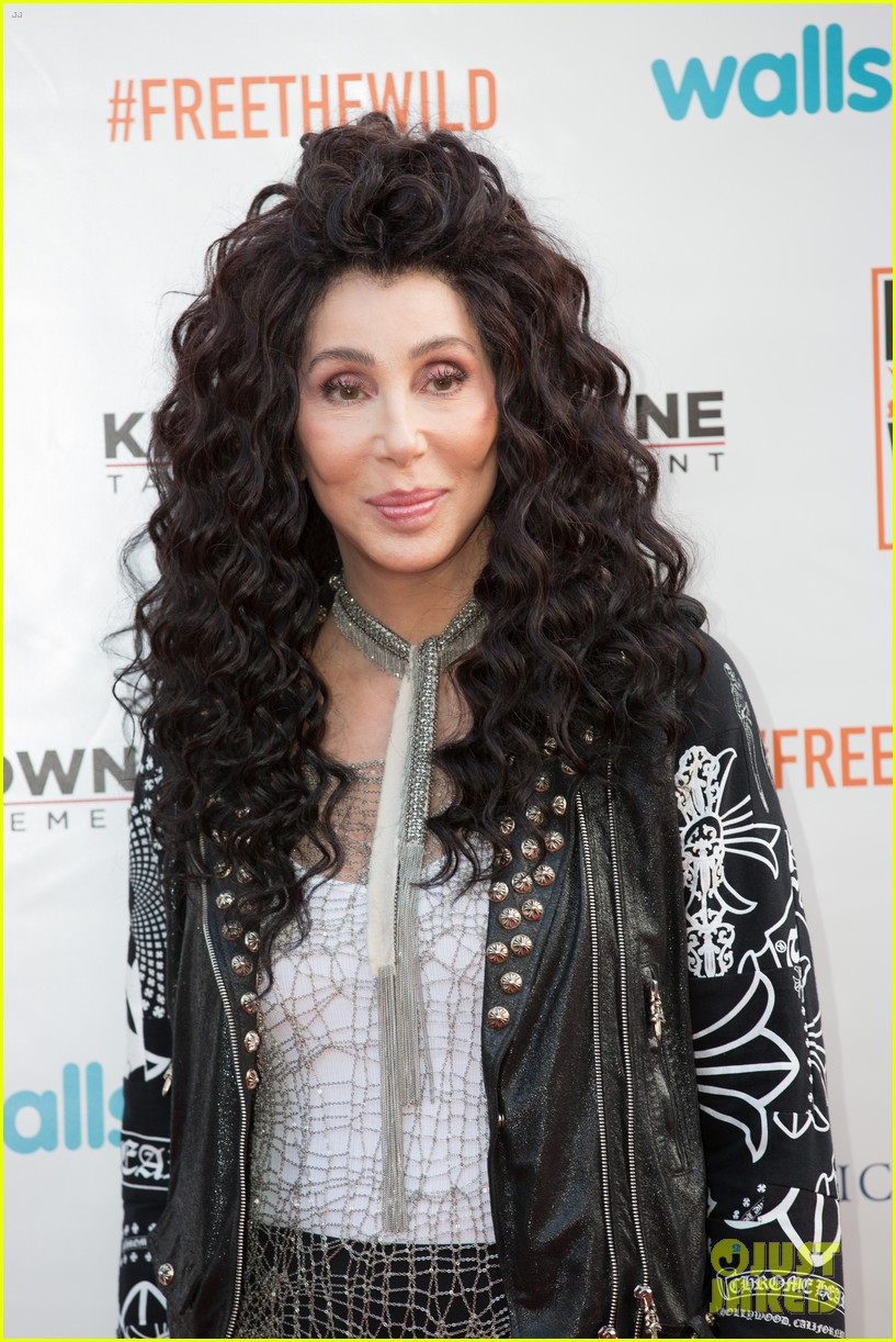 Cher Is Releasing an Album of ABBA Covers!: Photo 4115916 | Cher ...