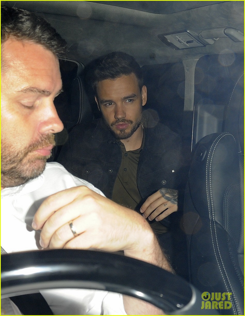 Liam Payne Parties With Drake at 'Scorpion' Album Launch Party: Photo ...