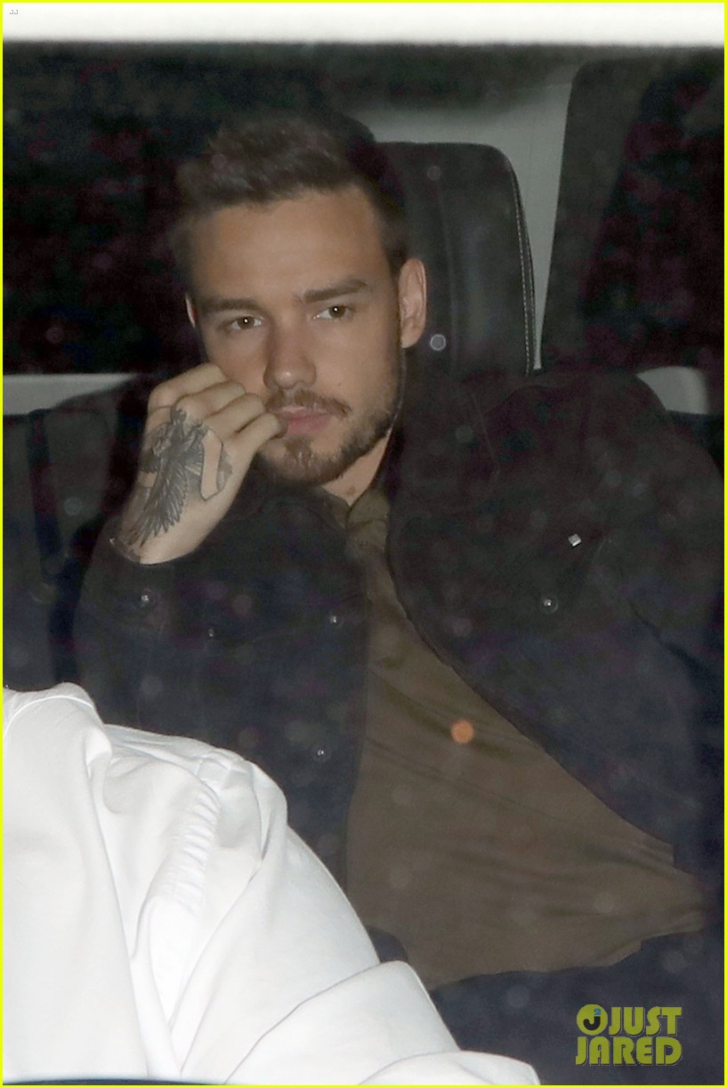 Liam Payne Parties With Drake at 'Scorpion' Album Launch Party: Photo ...