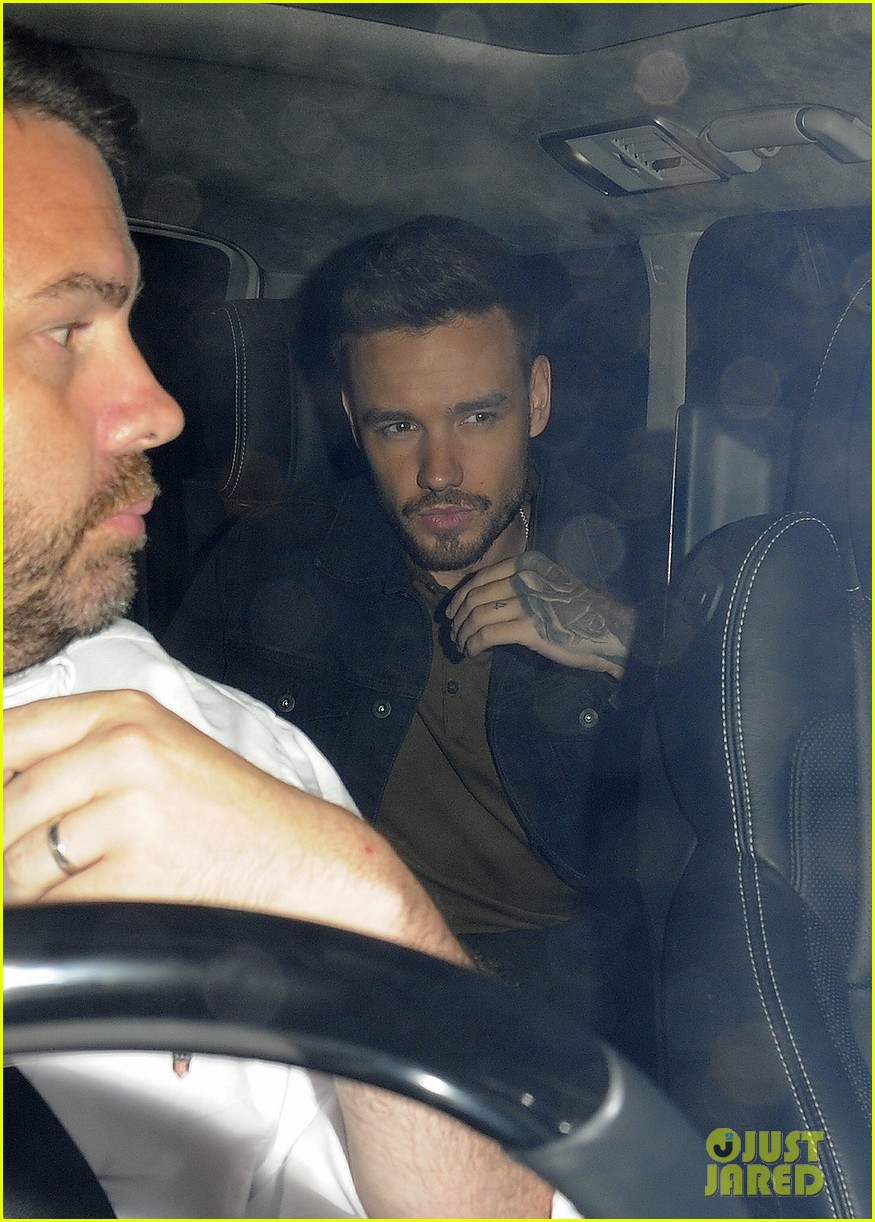 Liam Payne Parties With Drake at 'Scorpion' Album Launch Party: Photo ...