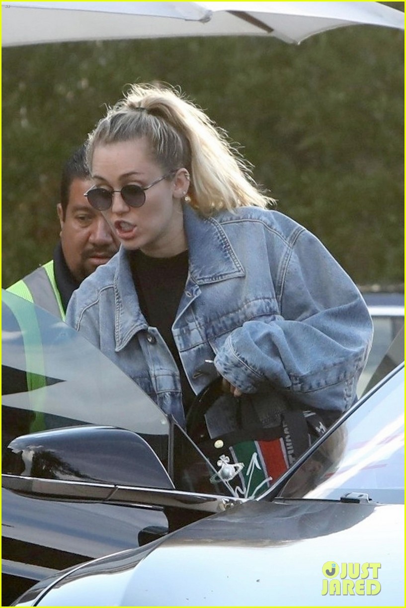 Miley Cyrus Grabs Lunch With Friends in Malibu!: Photo 4156638 | Miley ...