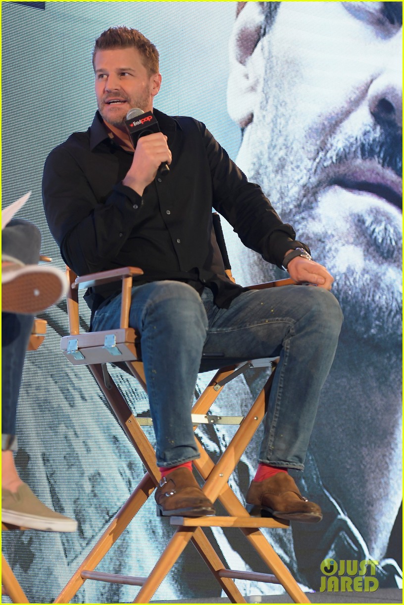 Full Sized Photo of david boreanaz panel comic con 11 | Photo 4158771 ...