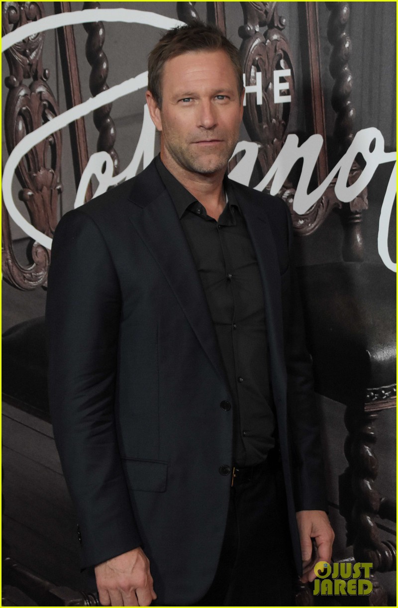 Aaron Eckhart, Amanda Peet, & More Stars Attend 'The Romanoffs ...