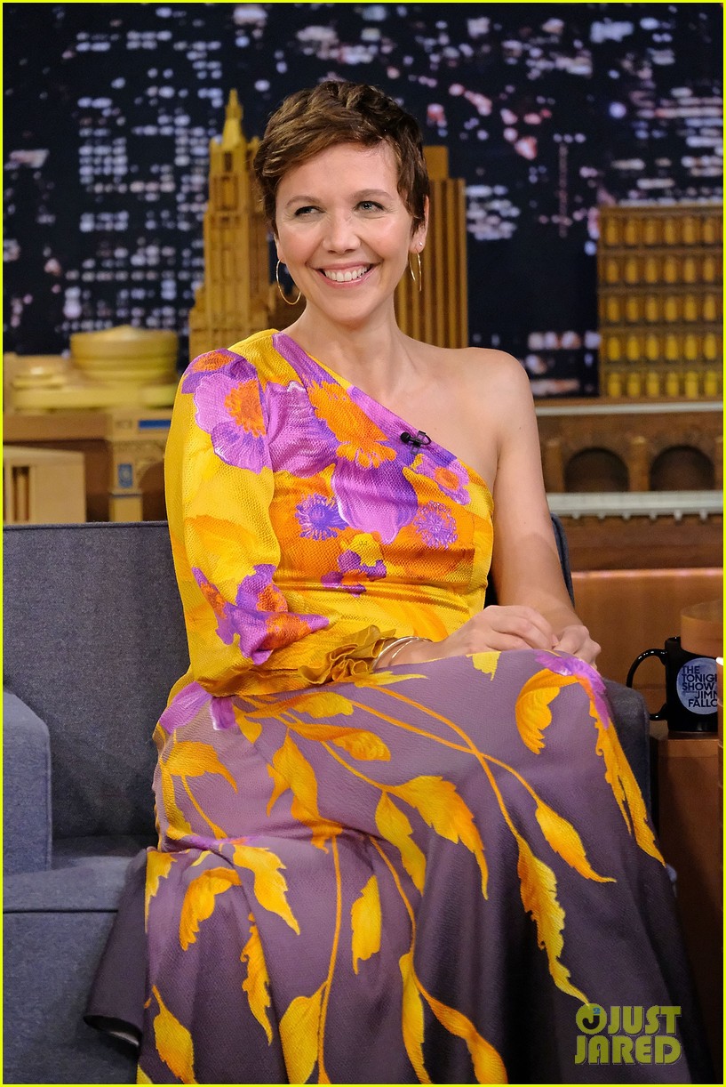 Maggie Gyllenhaal's 'The Deuce' Character Inspired Her to Make ...