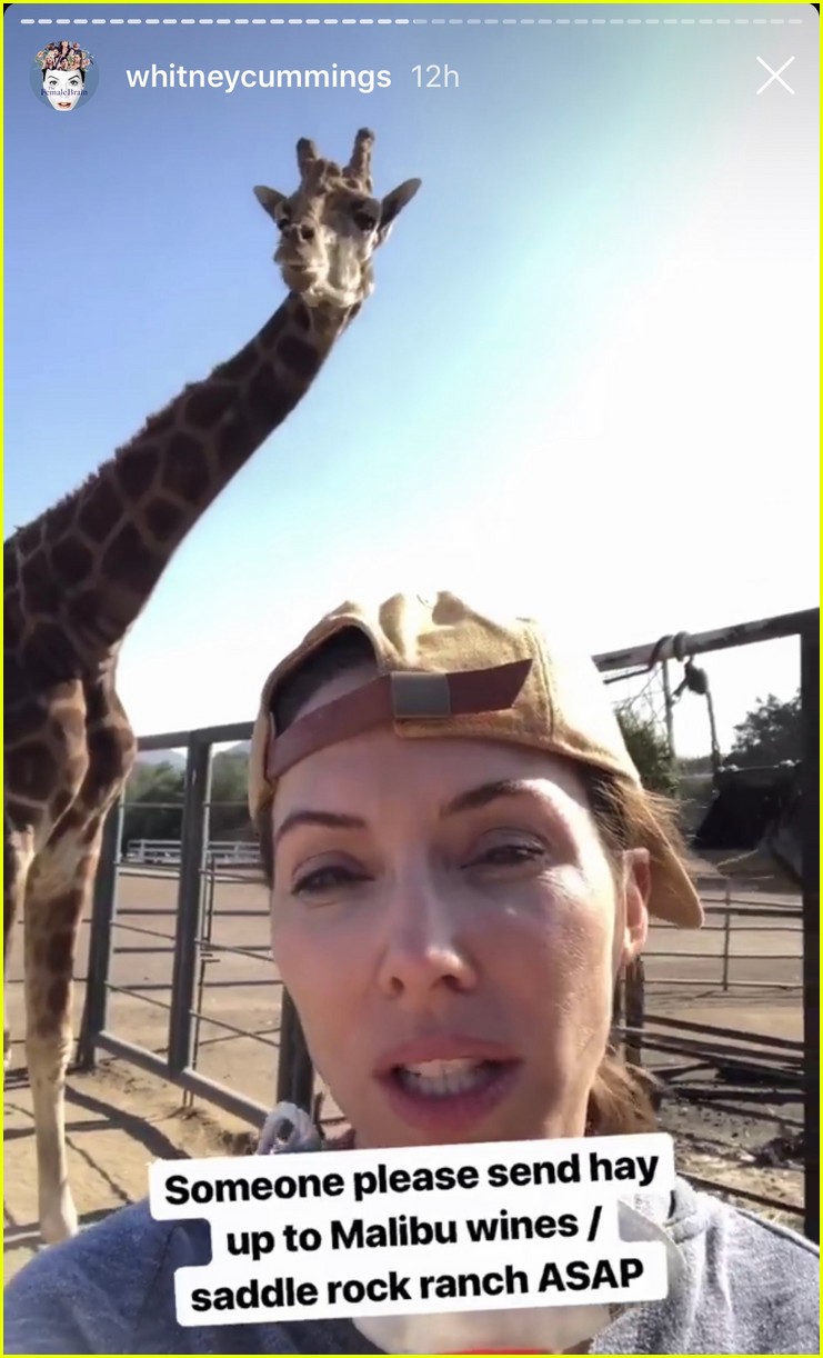 Whitney Cummings Calls Out Malibu Wines for Not Evacuating Stanley the ...