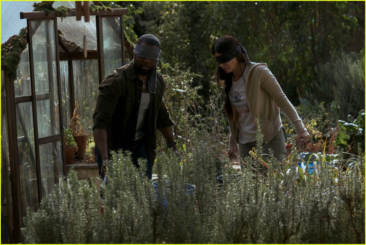 Sandra Bullock Describes What 'Bird Box' Creatures Looked Like in a ...