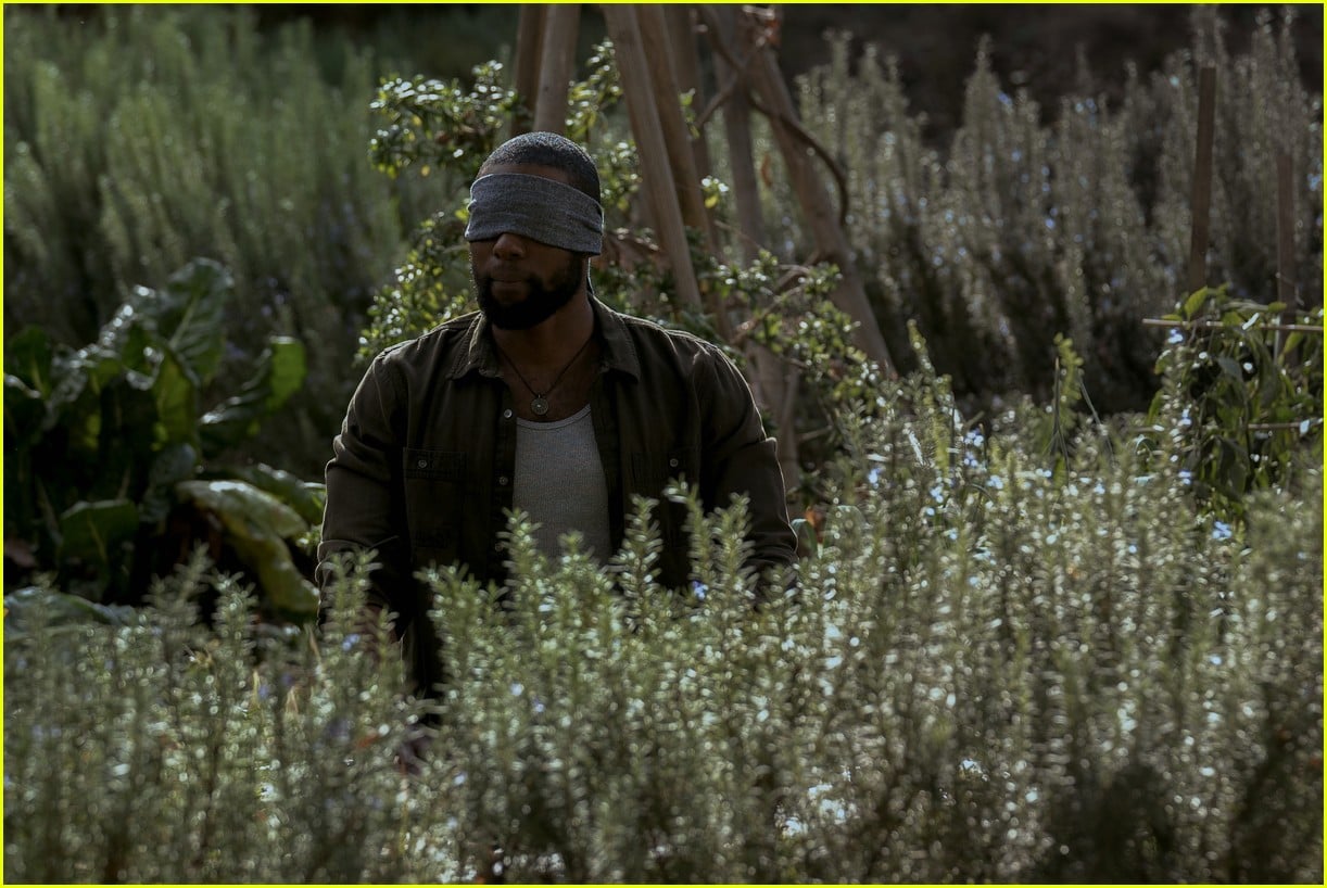 Sandra Bullock Describes What 'Bird Box' Creatures Looked Like in a ...