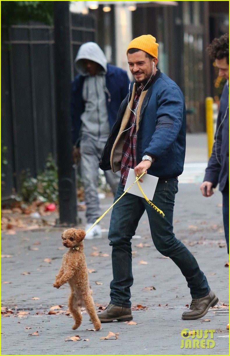 Orlando Bloom Takes His Dog Mighty Out for a Shopping Trip!: Photo ...
