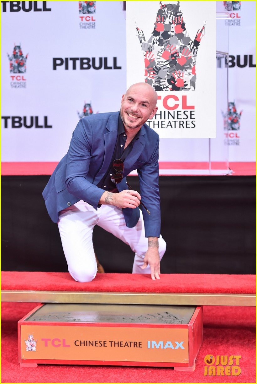 Pitbull Rapper Shirtless