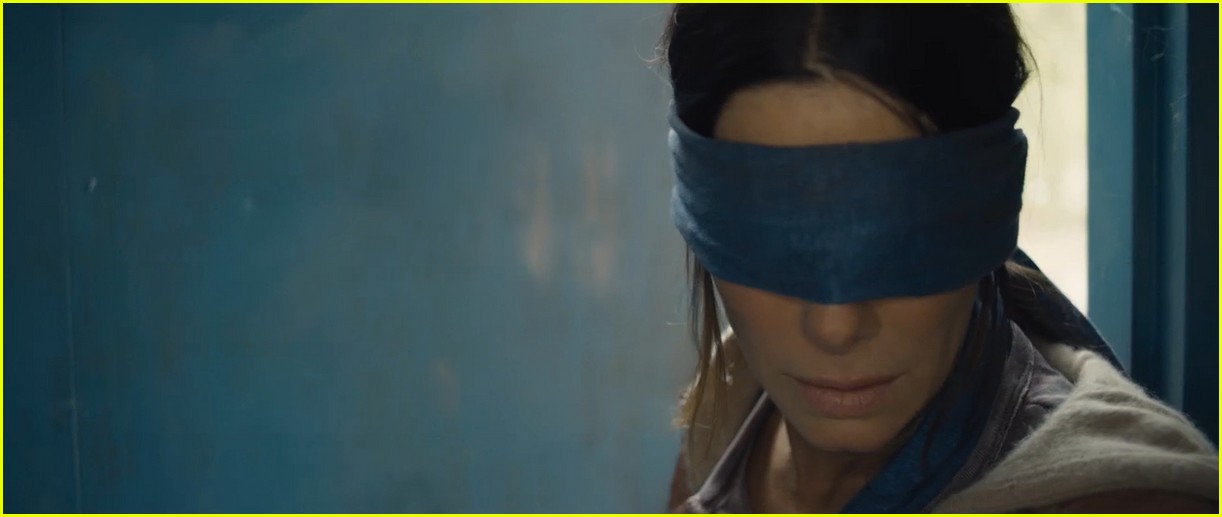 Is There a 'Bird Box 2' Planned? Director Says...: Photo 4205480 ...