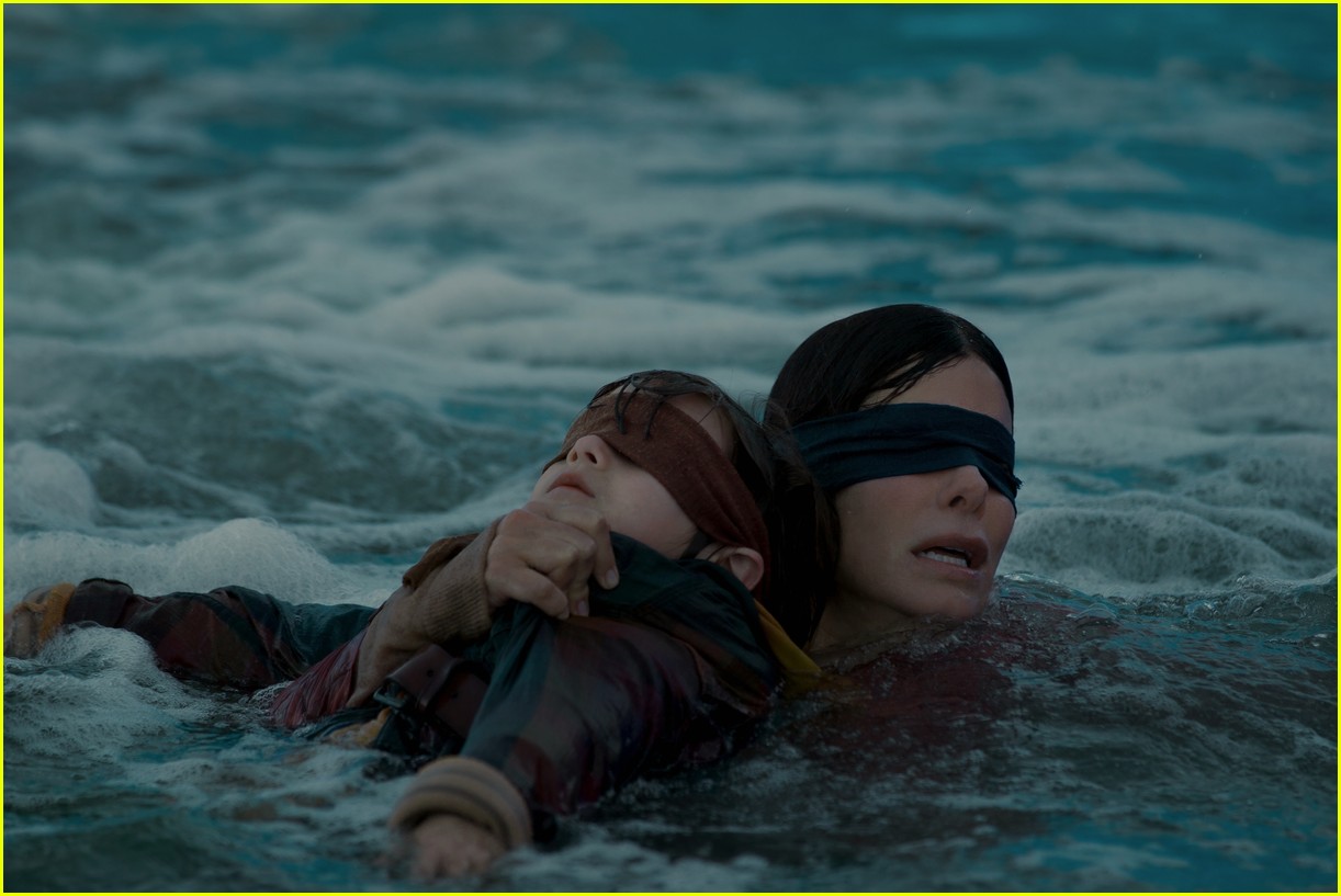Is There a 'Bird Box 2' Planned? Director Says...: Photo 4205484 ...