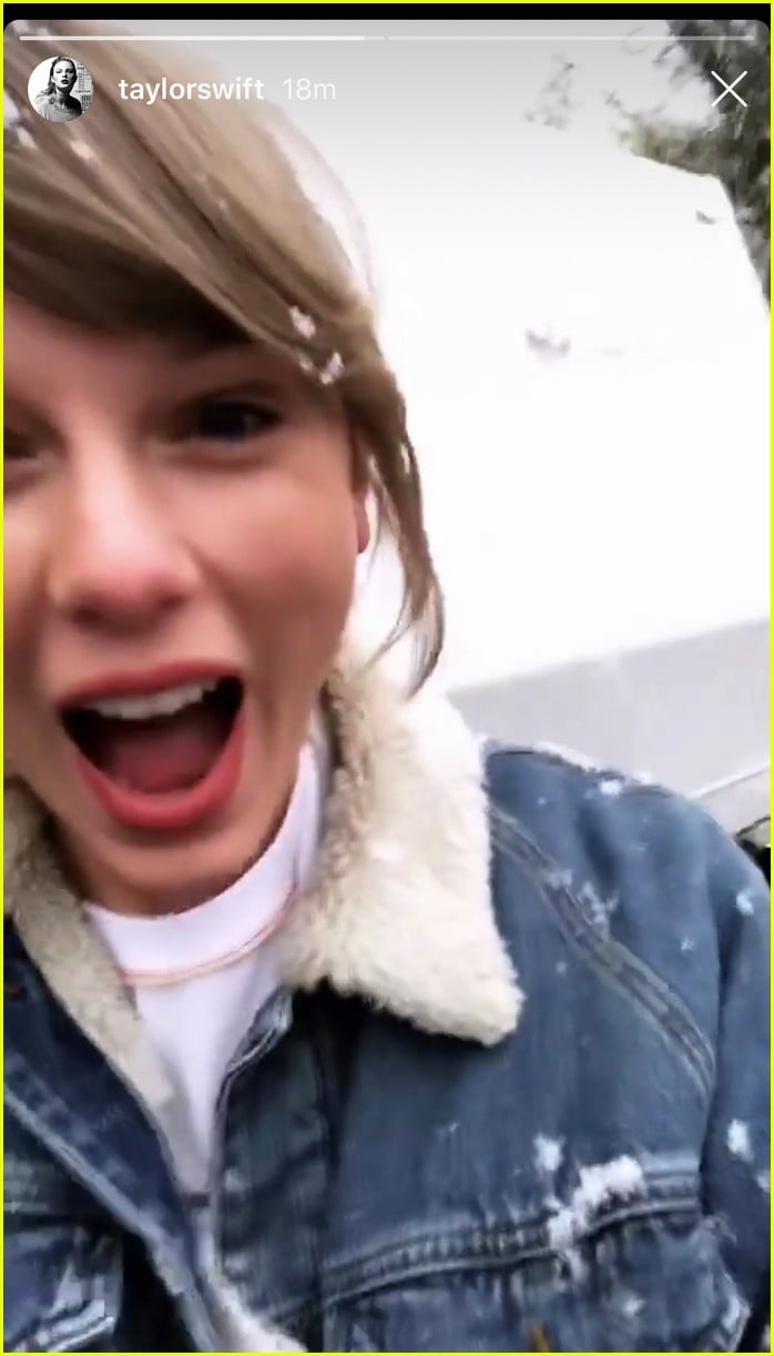 Photo: taylor swift cats ig 2019 03 | Photo 4214934 | Just Jared ...