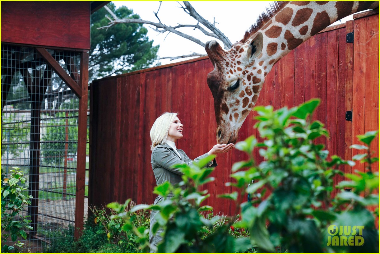 Kristen Bell Reunites With A Sloth on 'Ellen' Series After Her Viral ...