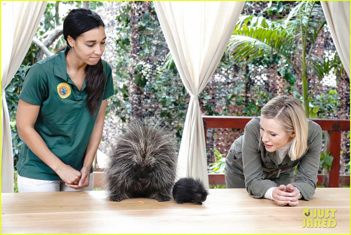 Kristen Bell Reunites With A Sloth on 'Ellen' Series After Her Viral ...