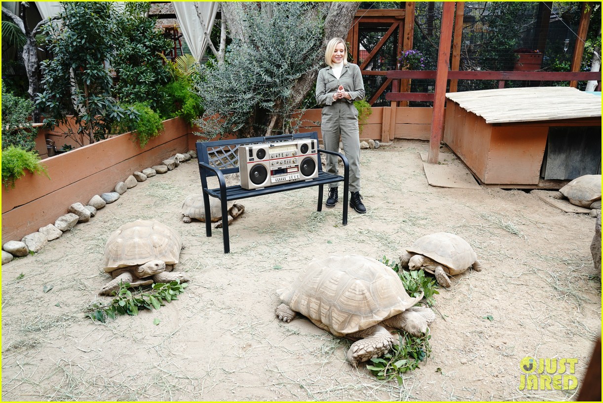 Kristen Bell Reunites With A Sloth on 'Ellen' Series After Her Viral ...