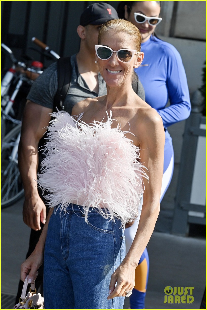 Celine Dion Steps Out in a Fluffy Feather Top After Releasing Her New ...