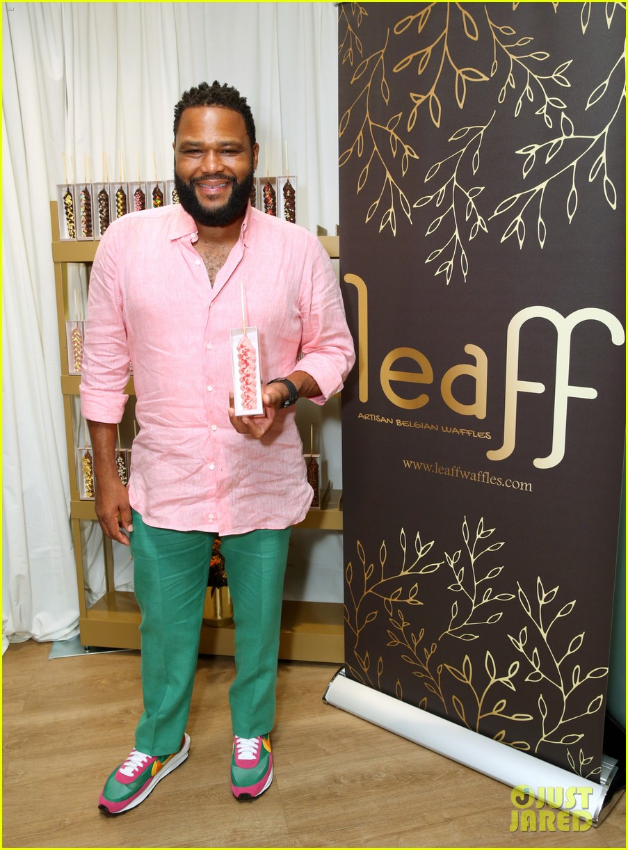 Anthony Anderson & Don Cheadle Are Joined By Their Loves at Emmy Awards ...